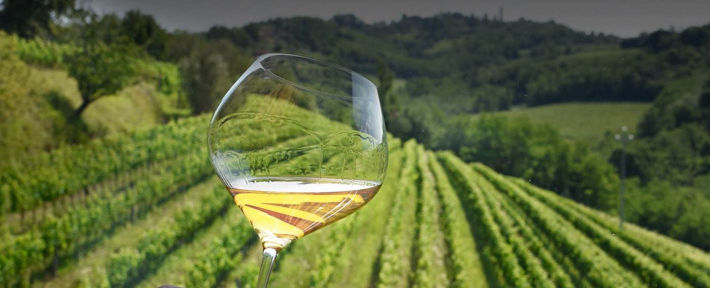 L'oro del Collio, con Diego Sburlino